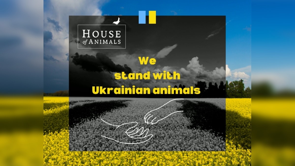 We stand with Ukrainian animals - House of Animals