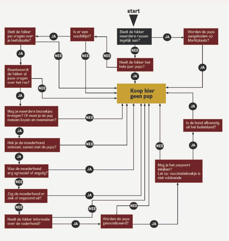 Dossier Broodfokkers | House of Animals Investigations