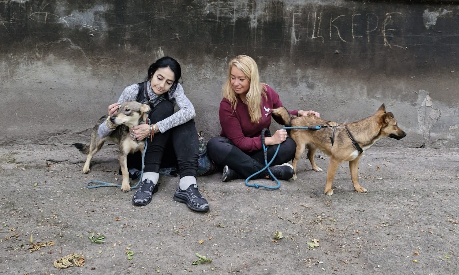 Karen’s reisblog: Weerzien met Angel in Zaporizja - House of Animals